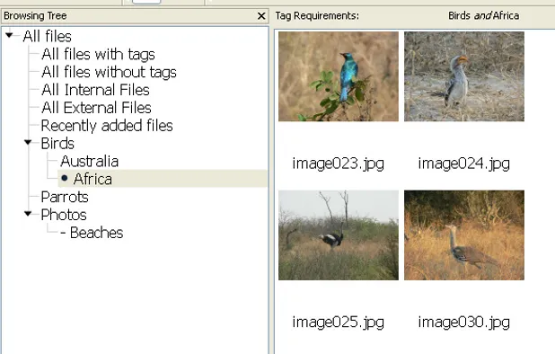 Tagging for Windows Alternatives: Top 11 File Managers & Similar Apps ...