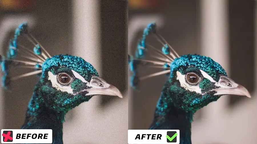 AVCLabs Photo Enhancer AI Alternatives: Top 12 Image Upscaling ...
