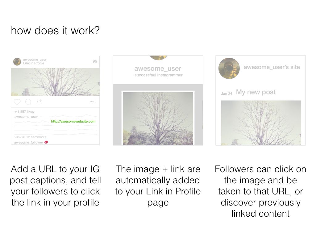 Link in Profile Alternatives and Similar Sites & Apps | AlternativeTo