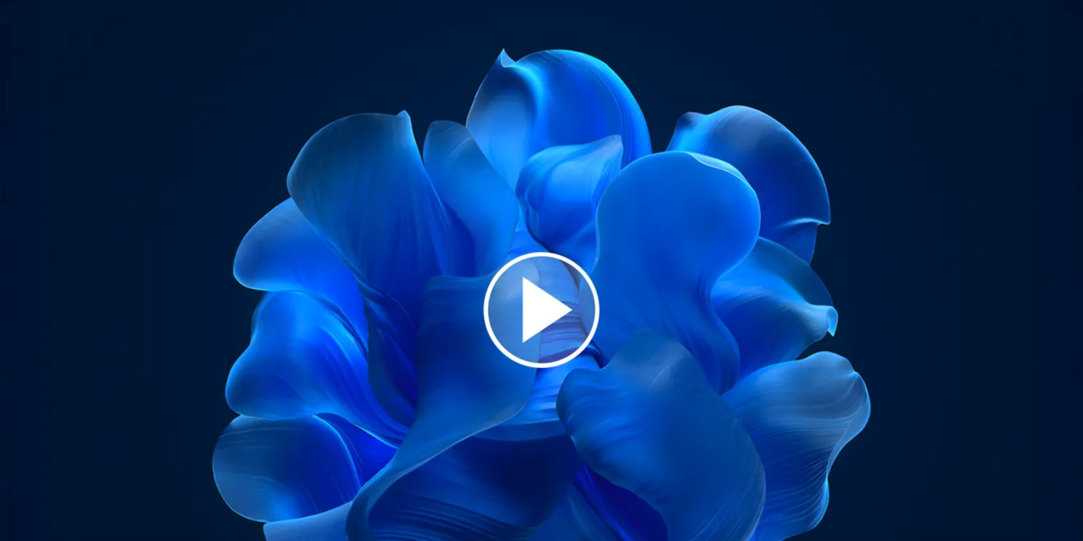 Windows 11 Insider builds add video wallpaper feature for animated ...