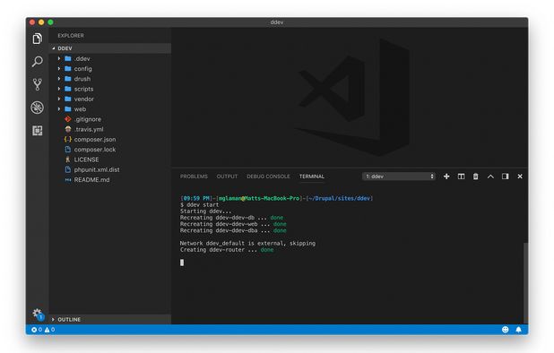 DDEV: Local or cloud development environment for web developers ...
