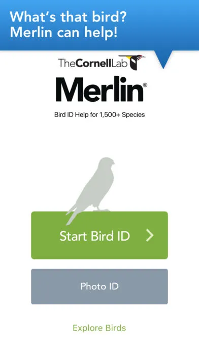 Merlin Bird ID Alternatives - Explore Similar Apps | AlternativeTo