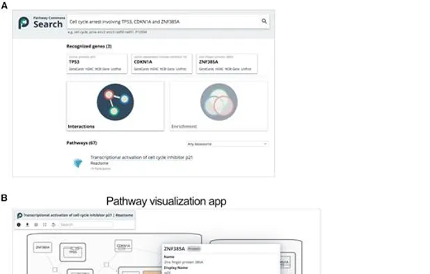 Roche Biochemical Pathways Alternatives - Explore Similar Sites & Apps ...