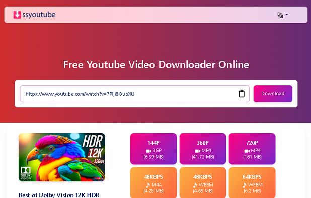 SsYouTube: - Youtube Video Downloader - YouTube to Mp4 Converter Free Online | AlternativeTo