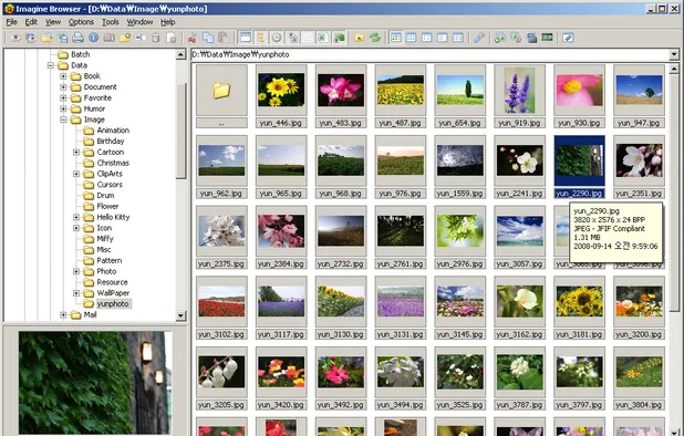 Imagine: Image & Animation Viewer for Windows with screen capture ...