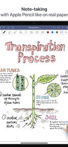 Scrivano for Handwritten Notes Alternatives: Top 3 Note-taking Tools ...