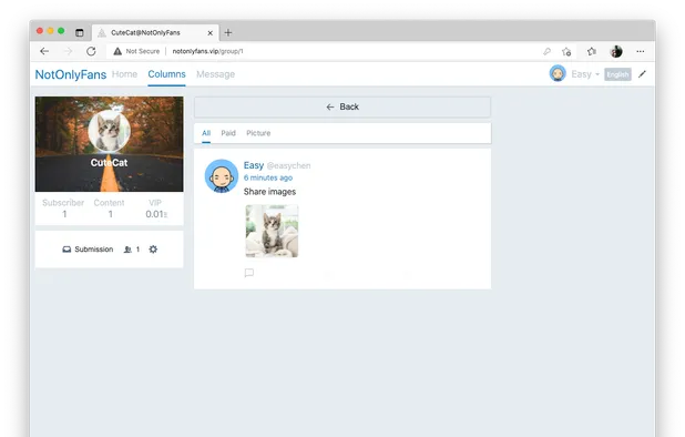 NotOnlyFans: Open source, self-hosted digital content subscription ...