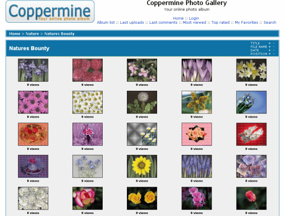 Coppermine Photo Gallery Alternatives - Explore Similar Sites & Apps ...