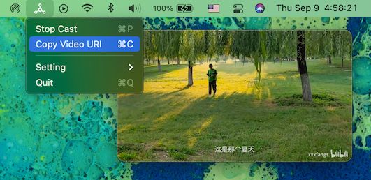 Macast: App Reviews, Features, Pricing & Download | AlternativeTo