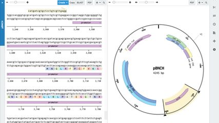 Benchling: Online lab notebook software, including DNA design tools ...