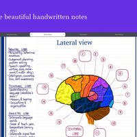 Noteful: App Reviews, Features, Pricing & Download | AlternativeTo