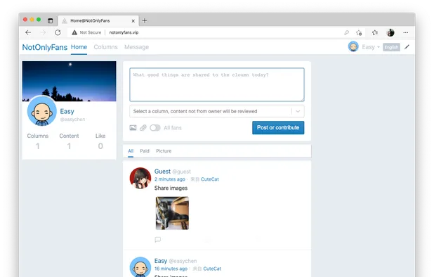 NotOnlyFans: Open source, self-hosted digital content subscription ...