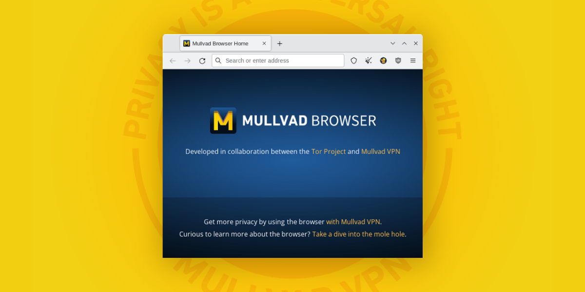 Mullvad Browser 14.0 brings Firefox Screenshots & PiP back and improves ...