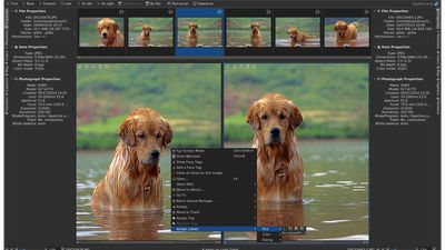 digiKam: Reviews, Features, Pricing & Download | AlternativeTo