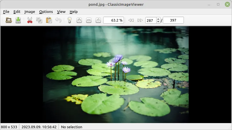 ClassicImageViewer Alternatives: Top 6 Image Viewers | AlternativeTo