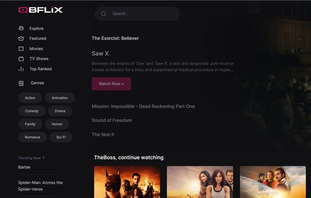 Bflix.gs: Streaming Platform for Movies and TV Shows | AlternativeTo