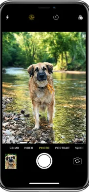 Blackmagic Camera Alternatives: Top 24 Camera & Similar Apps ...