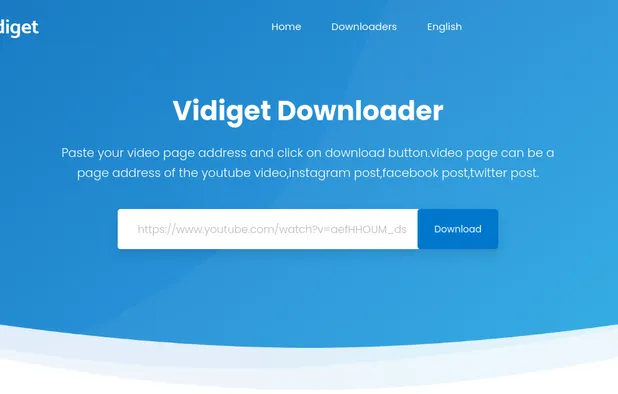 vidiget.com: Free media downloader for YouTube, Instagram, Twitter ...