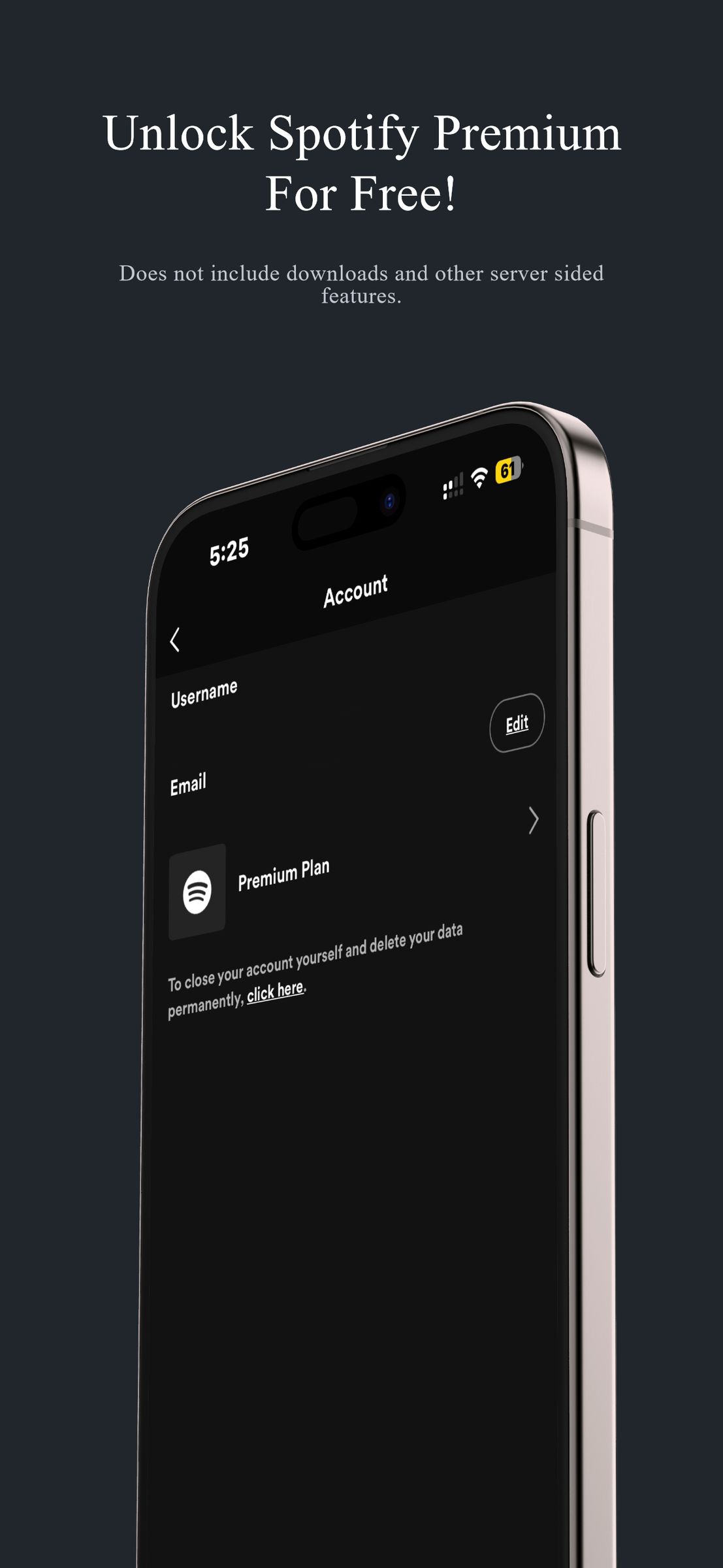 SpotC++: The ultimate compilation of Spotify enhancements | AlternativeTo