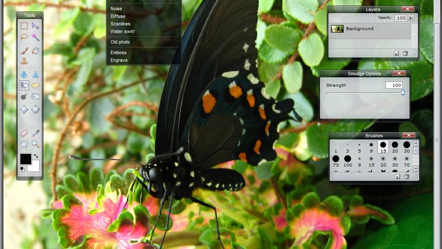 Pixlr: Makes it easy to transform everyday images into stunning works ...