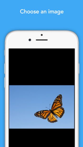 Colorscape Alternatives and Similar Apps | AlternativeTo