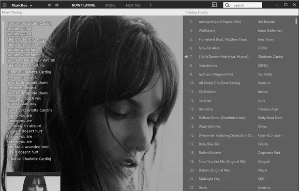 Best Winamp Alternatives: Top Audio & Media Players in 2025 | AlternativeTo