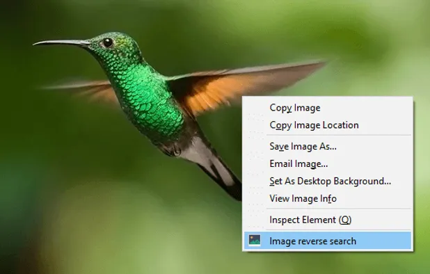 Google Lens Alternatives: Top 10 Image Search Engines | AlternativeTo
