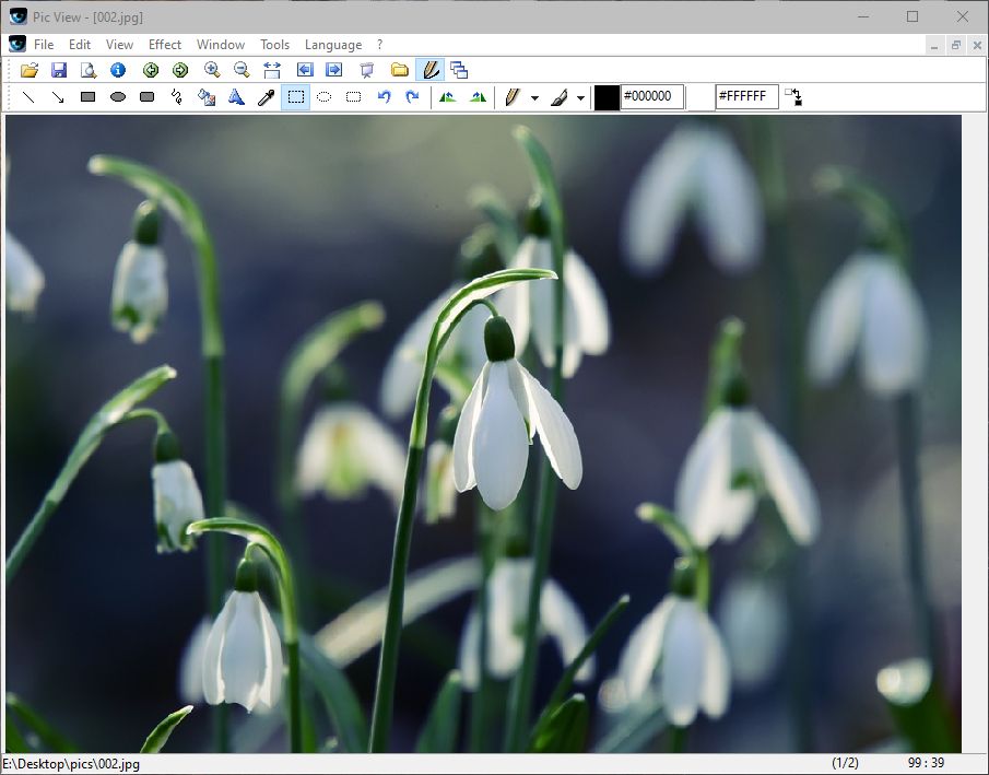 Alternate Pic View Alternatives: Top 9 Image Viewers & Similar Apps ...
