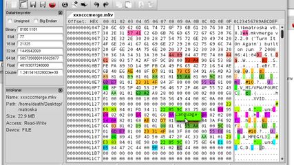 wxHexEditor: Hex Editor. Support editing or comparing (diff) very large files up to 2^64 ...