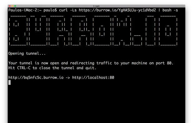 Pinggy.io Alternatives: Top 16 Localhost Tunnel Services & Similar Apps | AlternativeTo