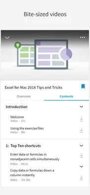 Great freeCodeCamp Alternatives: Top Code Learning Services in 2023 ...