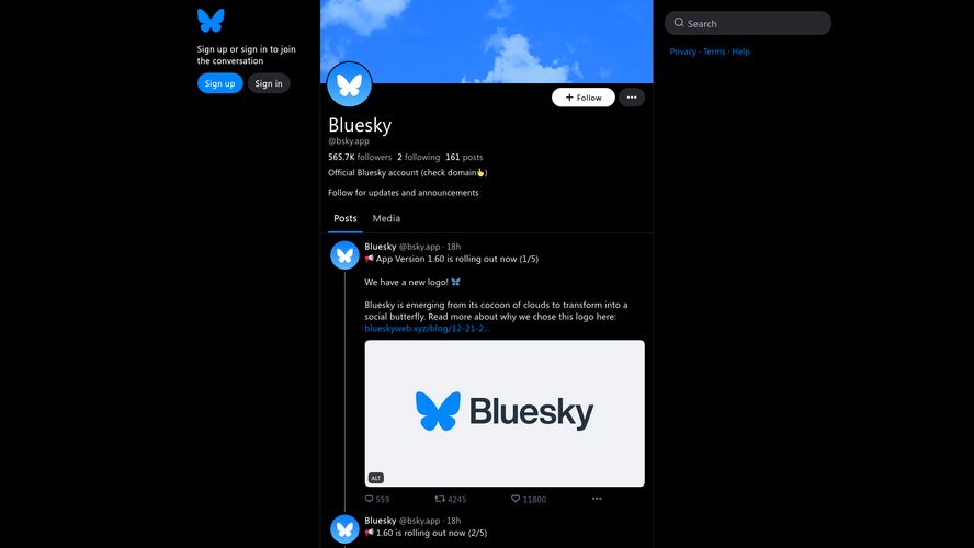 7 Best X Alternatives: Top Social Networks & Microblogs in 2024 ...