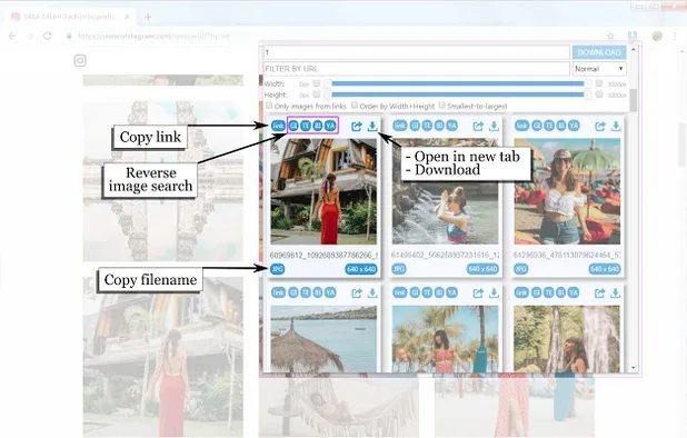 Imageye Alternatives: Top 14 Image Downloaders & Similar Apps ...