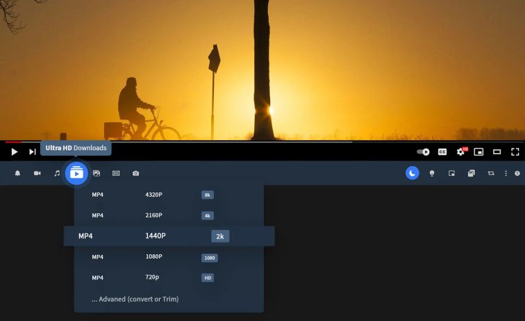 12 Best Video DownloadHelper Alternatives: Top Video Downloaders in ...