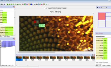 Virinext Bitstream Analyzer Alternatives and Similar Software ...
