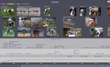 Timeline JS Alternatives and Similar Sites & Apps | AlternativeTo