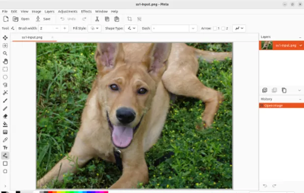 Microsoft Paint Alternatives for Mac: 25+ Digital Painting Tools ...