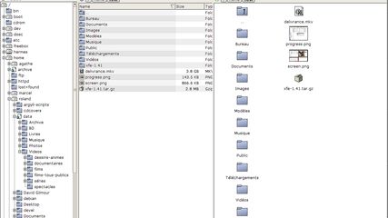 Xfe: X File Explorer (Xfe) is an MS-Explorer or Commander like file ...