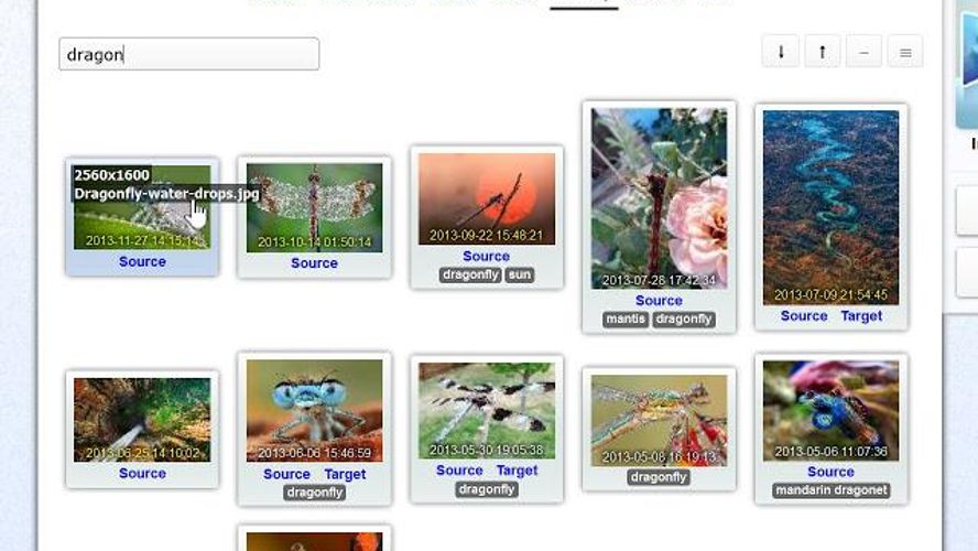 Imagus: The extension is intended to complement image | AlternativeTo