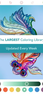 Colorscape Alternatives and Similar Apps | AlternativeTo