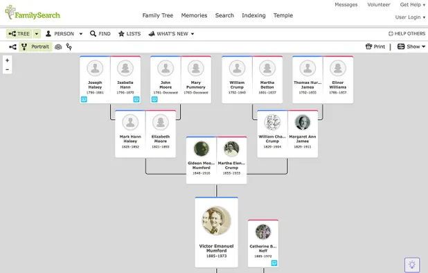 Ancestry Alternatives: Top 12 Genealogy Tools & Similar Apps ...