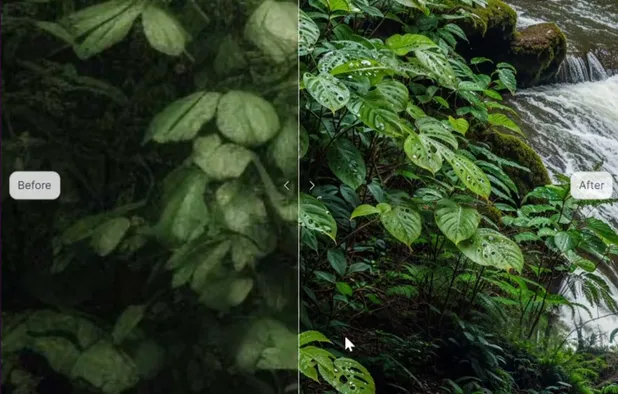 Remini Alternatives: Top 12 Image Upscaling Apps | AlternativeTo