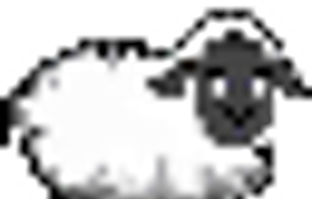 Kopia Alternatives: Top 10 File Sync Tools & Similar Apps | AlternativeTo Kopia Alternatives: Top 10 File Sync Tools & Similar Apps | AlternativeTo