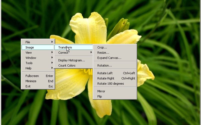 Frameless Alternatives: Top 10 Image Viewers & Similar Apps | AlternativeTo