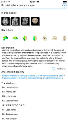 e-Anatomy: Award-winning interactive atlas of human anatomy ...