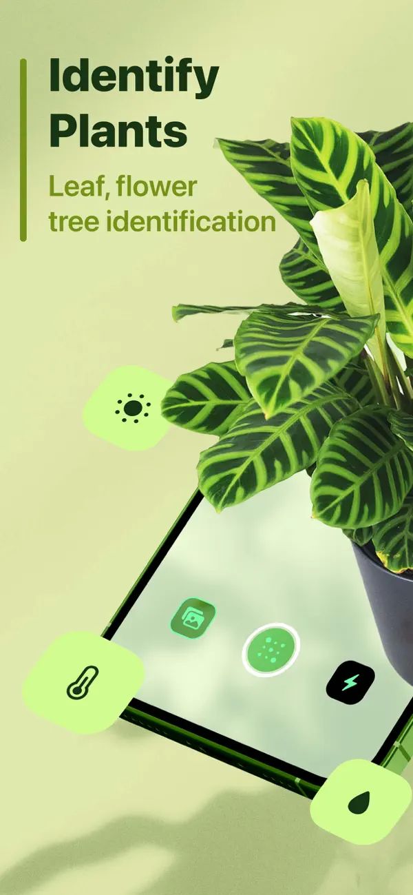 Leaf Identification Alternatives: Top 10 Plant Identification & Similar ...