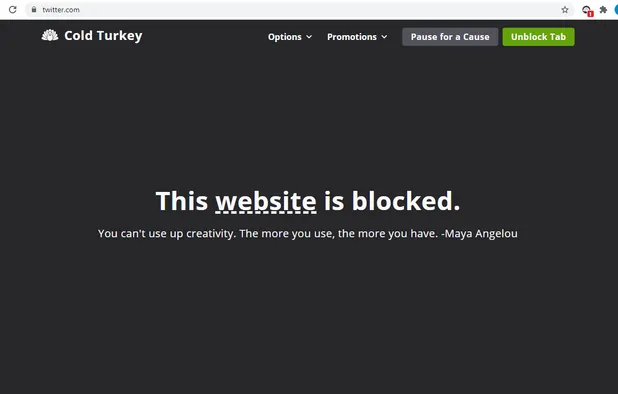 Twert Alternatives: Top 12 Anti Procrastination Tools | AlternativeTo
