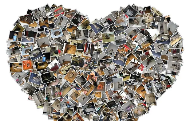 Collage Maker Alternatives and Similar Apps | AlternativeTo