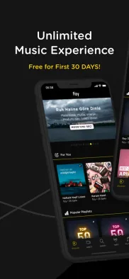 Freefy Alternatives: Top 10 Music Streaming Services | AlternativeTo