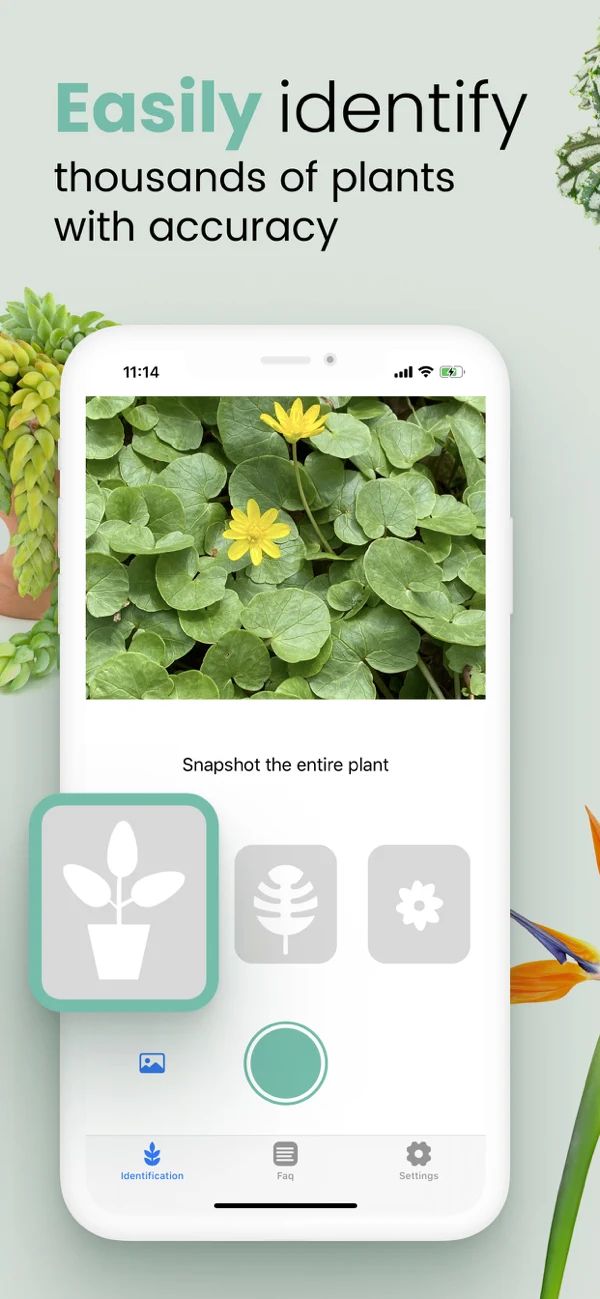 Plant ID Match Alternatives: Top 23 Plant Identification & Similar Apps ...